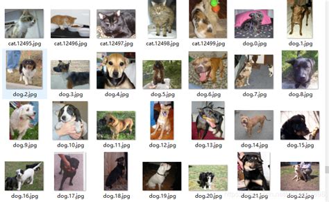 Tensorflow Kaggle猫狗大战识别猫狗 Csdn博客