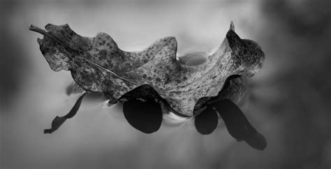 The Mongodb Shells New Crud Api