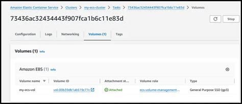 a guide to integrating amazon ebs volumes with amazon ecs