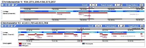 Top Box Plot Of MSPE Obtained Through Fold Cross Validation