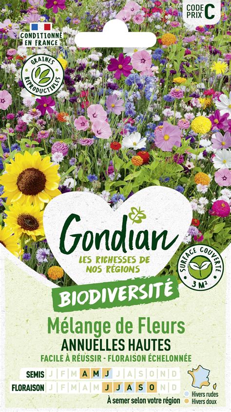 Mélange De Fleurs Annuelles Hautes Gondian