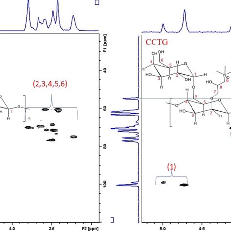 Hsqc Nmr Spectrum Of Ctg And Cctg Download Scientific Diagram