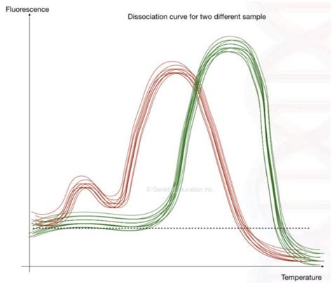 Real Time Pcr Principle Procedure Advantage Limitations And Applications