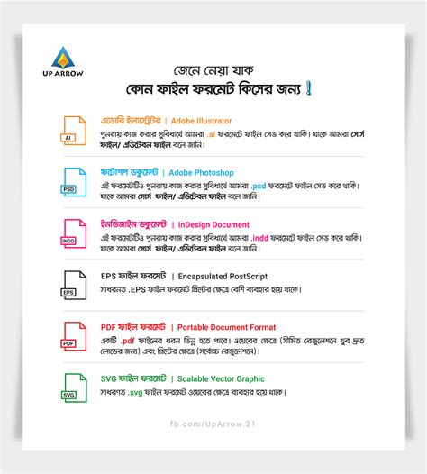 Infographic Design About Adobe File Formats On Behance