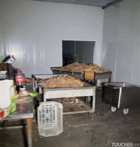 ЭМЭЭЛТ ДЭХ МАХНЫ ҮЙЛДВЭРИЙН ҮЙЛ АЖИЛЛАГААГ ТҮР ЗОГСООВ Tuuchee