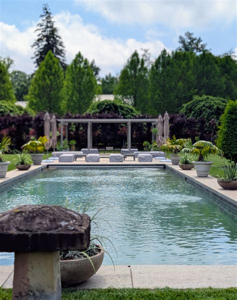 Potted Plants Around My Pool The Martha Stewart Blog