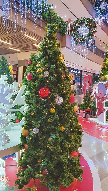 ทำไมต้องประดับไฟต้นคริสต์มาส