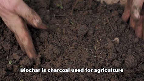 Learn More About Organic Inoculated Biochar