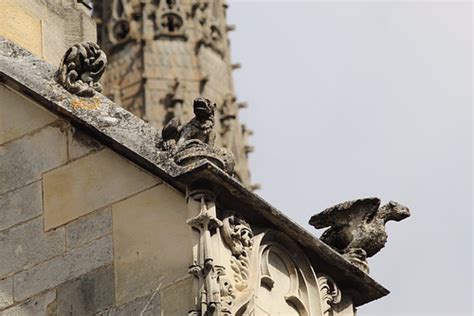 Ipernity Details By Isabelle Prim