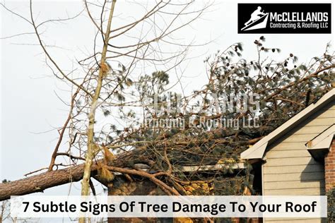 7 Signs Of Tree Damage On Your Roof How To Repair Them