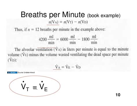Calculate Minute Ventilation Dead Space Ventilation And Alveolar