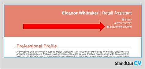 How To Write A CV Ultimate Guide CV Examples