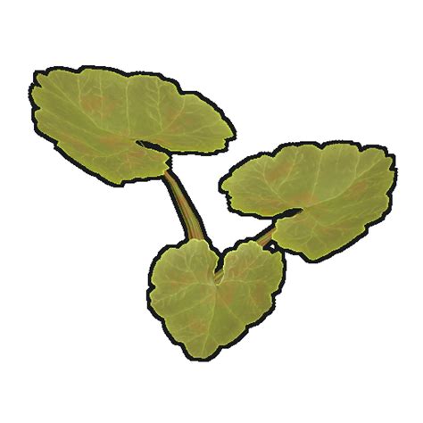 Pumpkin Plant Clone Rust Wiki