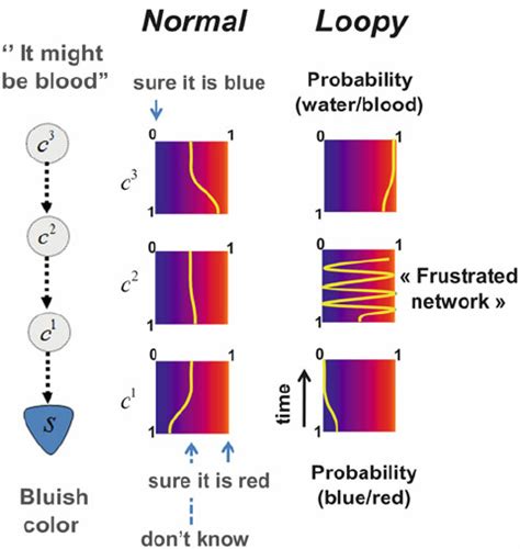 6 Normal And Loopy Belief Propagation Are Presented When The Top Down Download Scientific