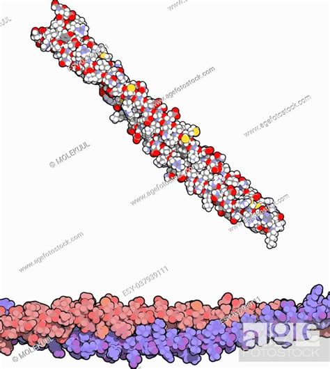 Keratin Chemical Structure