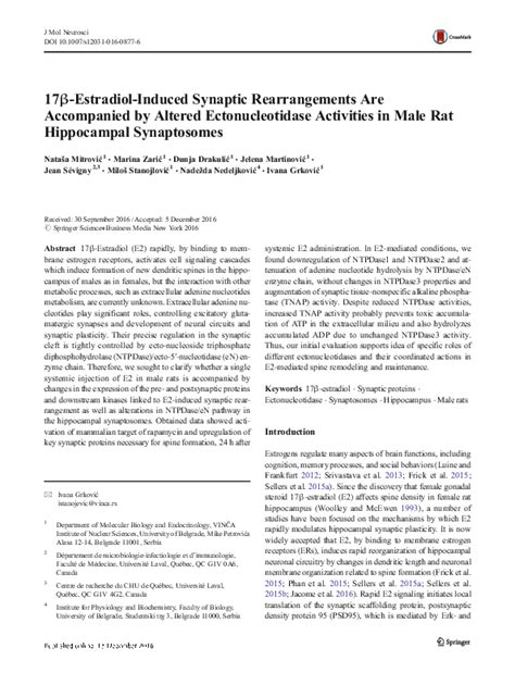 Pdf 17β Estradiol Induced Synaptic Rearrangements Are Accompanied By