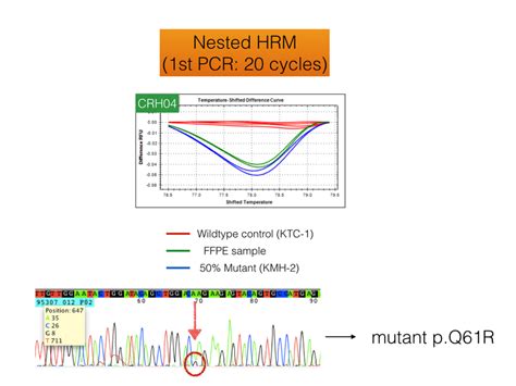 Has Anyone See A Nested High Resolution Melting Analysis Curve Like