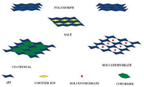 Possible Multi Component Solid State Forms Polymorph Salt Download Scientific Diagram