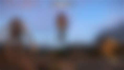 Gotta Make Sure The Siege Going Well Up There Just Love Kcd Bugs R