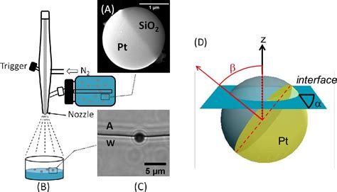 Figure 1 From Enhanced Active Motion Of Janus Colloids At The Water