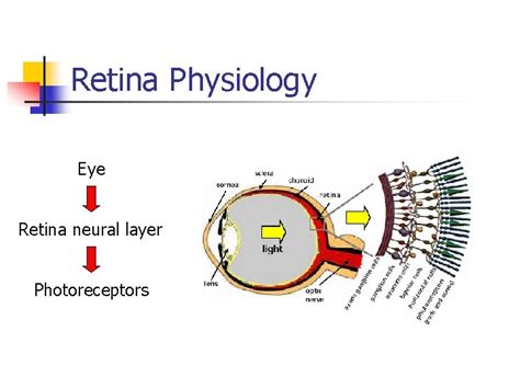 Application Of Mems In Optobionics Retinal Implant By