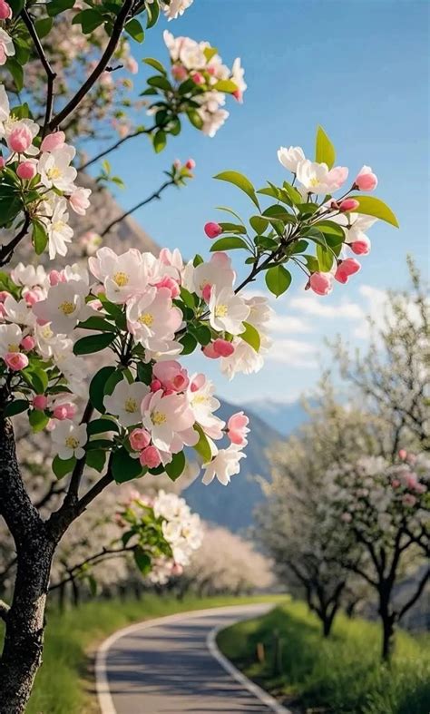 Неизпратени писма доТЕБ Ако някога усетиш че ти липсвам че празно е във твоето сърце