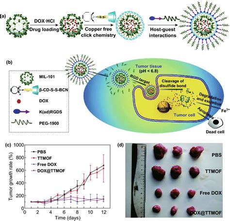 Metalorganic Framework Nanocarriers For Drug Delivery In Biomedical Applications Pmc