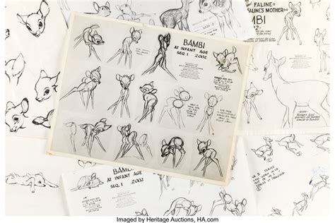 Bambi Model Sheet Group Of 19 Walt Disney 1942 Total 18