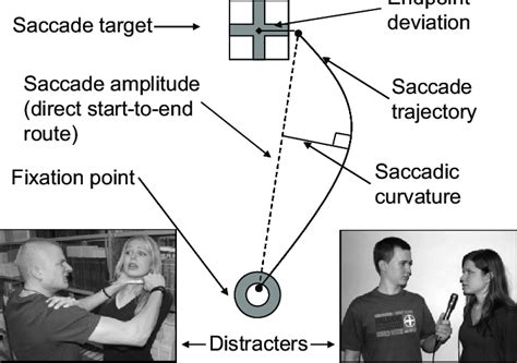 Graphical Illustration Of Computing Saccade Endpoint Deviation And