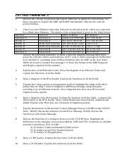 Understanding Networking Concepts ARP Ethernet And Protocols Course Hero