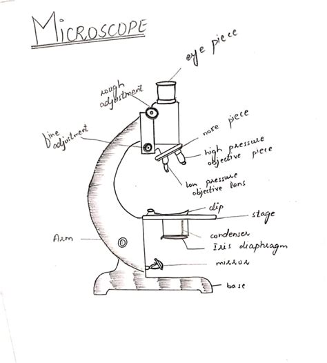 Draw Neat Pictures And Diagrams By Rabia I788 Fiverr