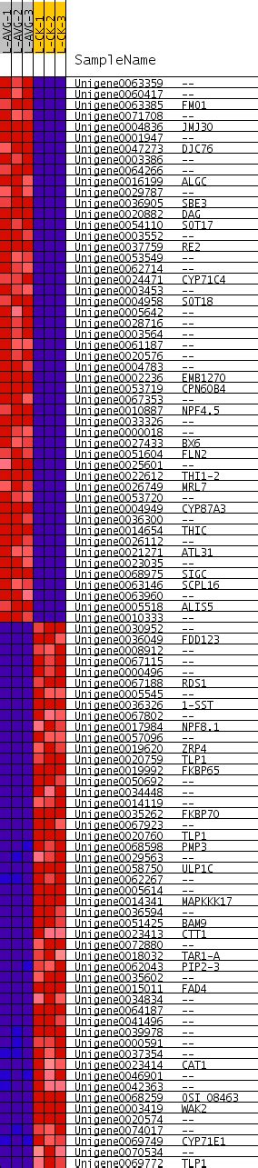 Heat Map And Correlation Plot For All All Cls T1 L Versus Ck L