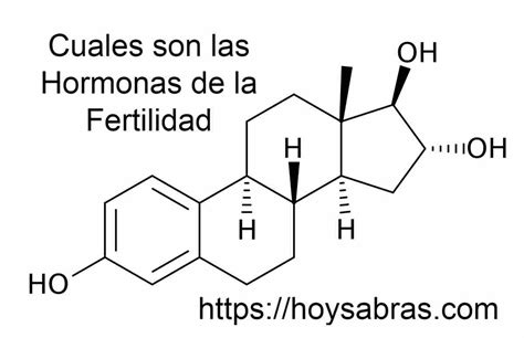 Que Son Las Hormonas De La Fertilidad Y Como Aumentarlas De Forma