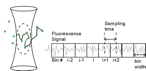 Figure 1 1 From The Design Of Fluorescence Correlation Spectroscopy For