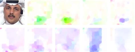 Protoexplorer Interpretable Forensic Analysis Of Deepfake Videos Using