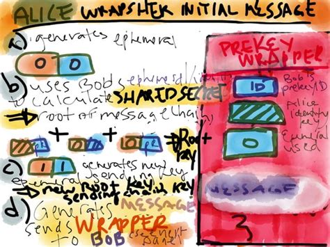 Axolotl Protocol An Illustrated Primer Ppt