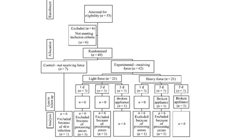flow diagram of the experiment download scientific diagram
