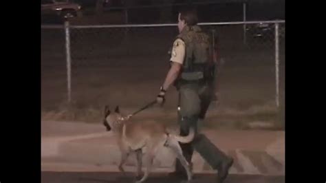 Old Lasd Seb Edit Youtube