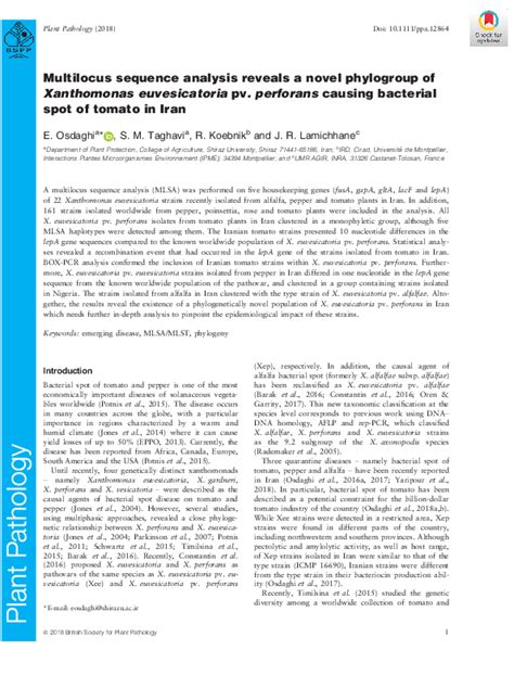 Pdf Multilocus Sequence Analysis Reveals A Novel Phylogroup Of Xanthomonas Euvesicatoria Pv