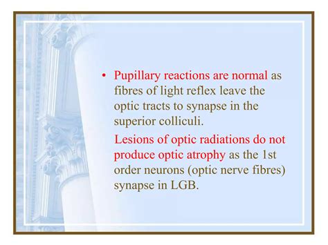 Optic Nerve And Visual Pathway Pptx