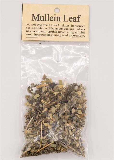 Mullein Leaf Spirit Work