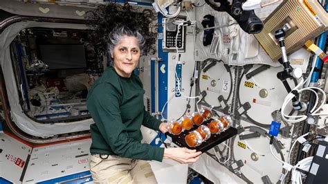 Sunita Williams Biography Space Missions And Achievements Republic World