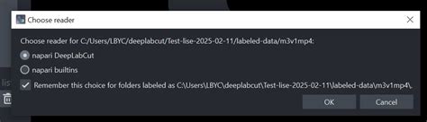 Extracted Frames Are Not Showing In Napari Usage And Issues Imagesc