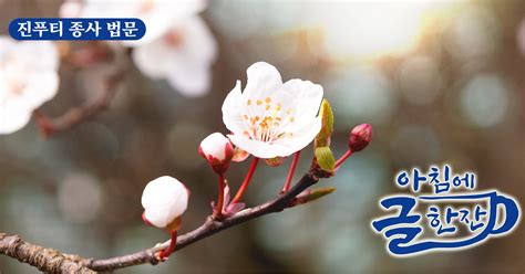 한국 아침에 글 한 잔 수행의 길에서 121 진푸티 종사 법문 시리즈 훌륭한 엄마와 아내의 역할” 요 며칠 자신의 감정을 관찰해 본 사람 있습니까 관찰해본