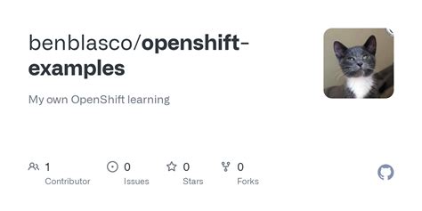 github benblasco openshift examples my own openshift learning