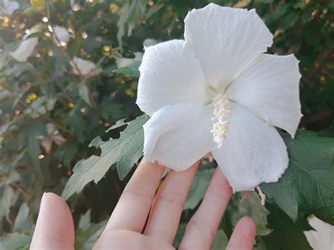 매일 감사일기 쓰기 Band