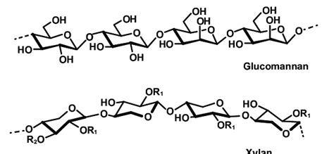 Chemical Structure Of Glucomannan And Xylan Hemicelluloses Adapted