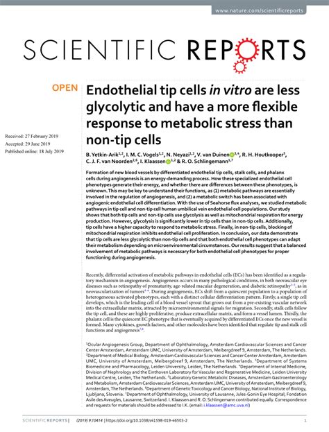 Pdf Endothelial Tip Cells In Vitro Are Less Glycolytic And Have A More Flexible Response To