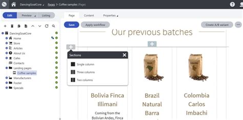 CMS With Page Builder Kentico