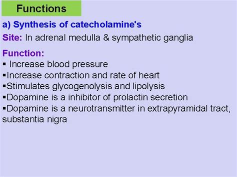 Protein Metabolism Ii V Metabolism Of Aromatic Amino